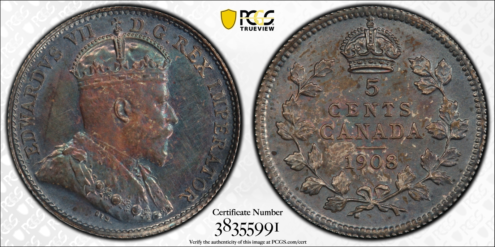 PCGS Graded SP63 Canada 1908 5 Cents Edward VII Specimen Silver Coin ...