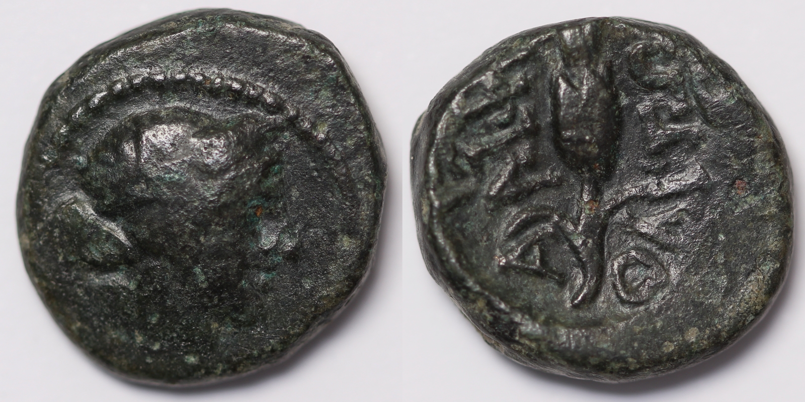 Ancient Greek Coin Macedon Amphipolis c. 187-31 BC Æ Apollo / Grain Ear ...