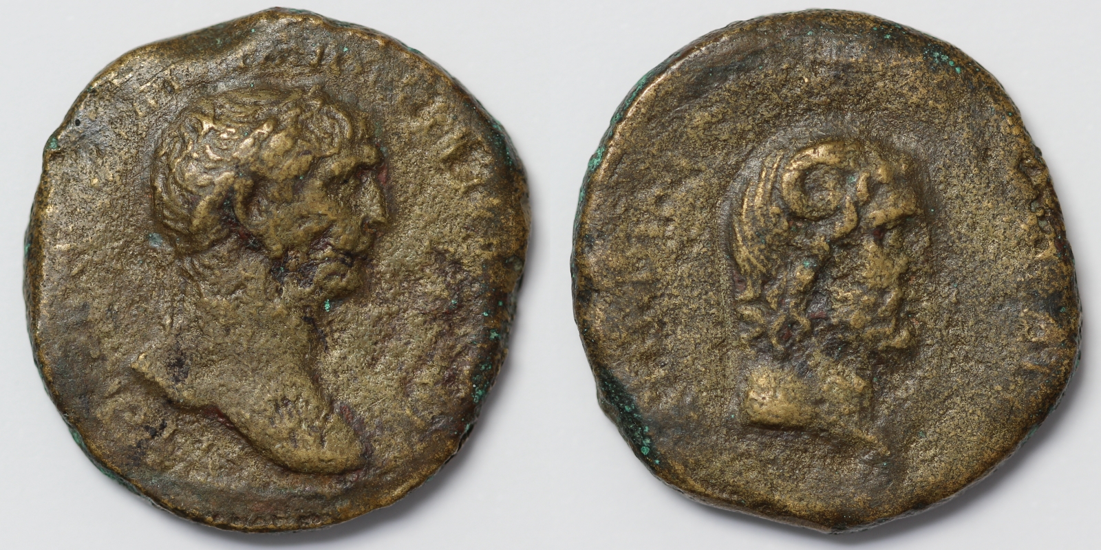 Ancient Roman Provincial Coin Cyrenaica Trajan Æ AD 103-111 Zeus-Ammon ...