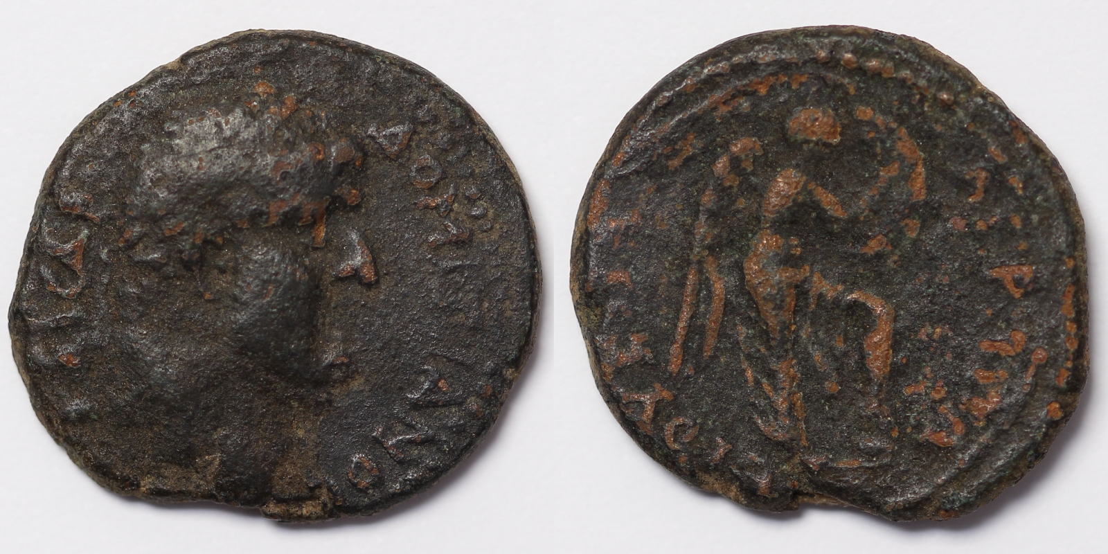 Ancient Roman Provincial Coin Judaea Domitian with Agrippa II Æ AD 85/6 ...