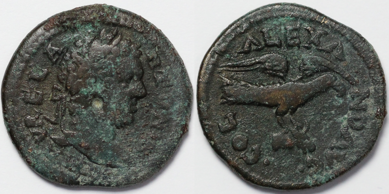 Ancient Roman Provincial Coin Caracalla Troas Alexandria AD 198-217 Æ ...