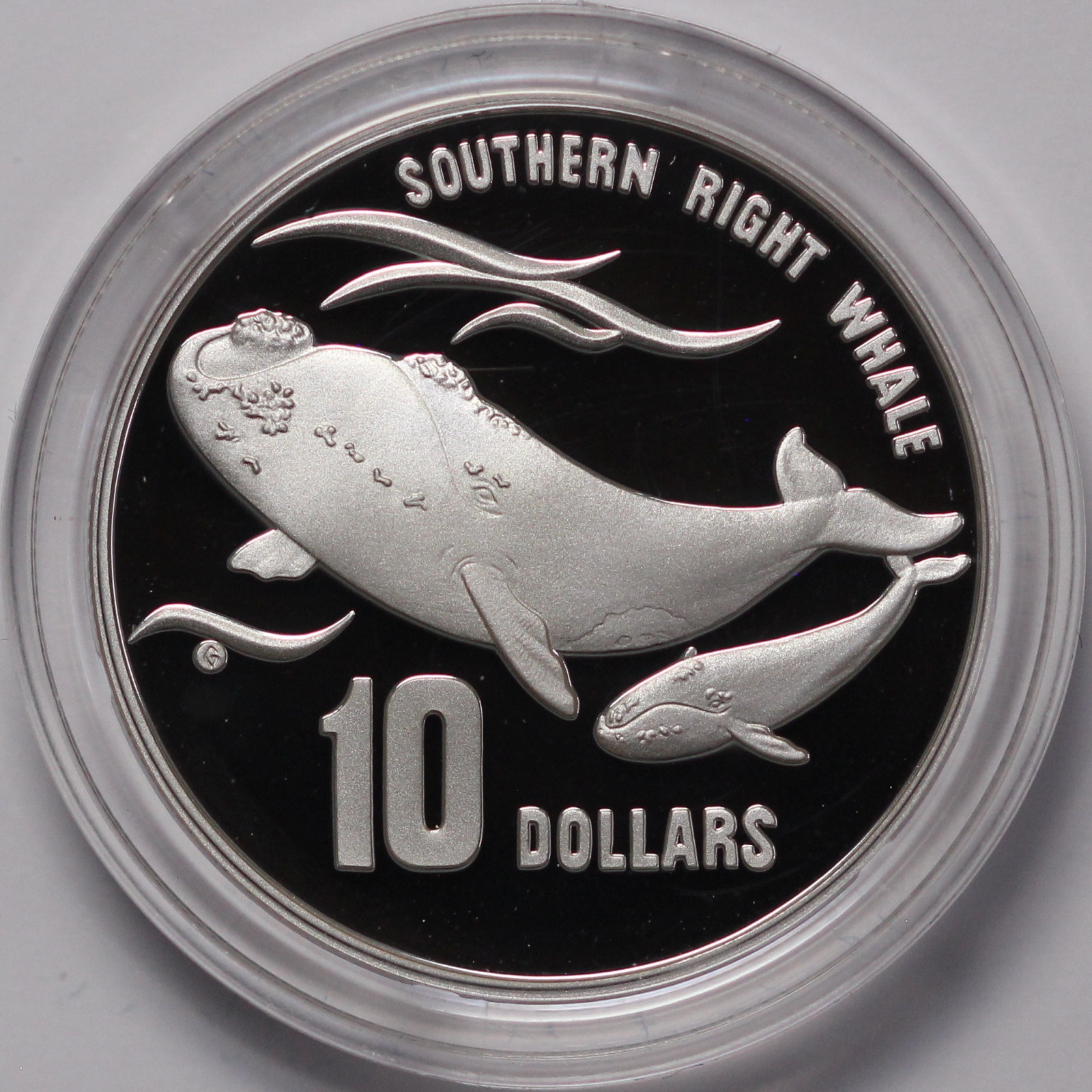 Australia 1996 Southern Right Whale Endangered Species $10 Silver Proof ...