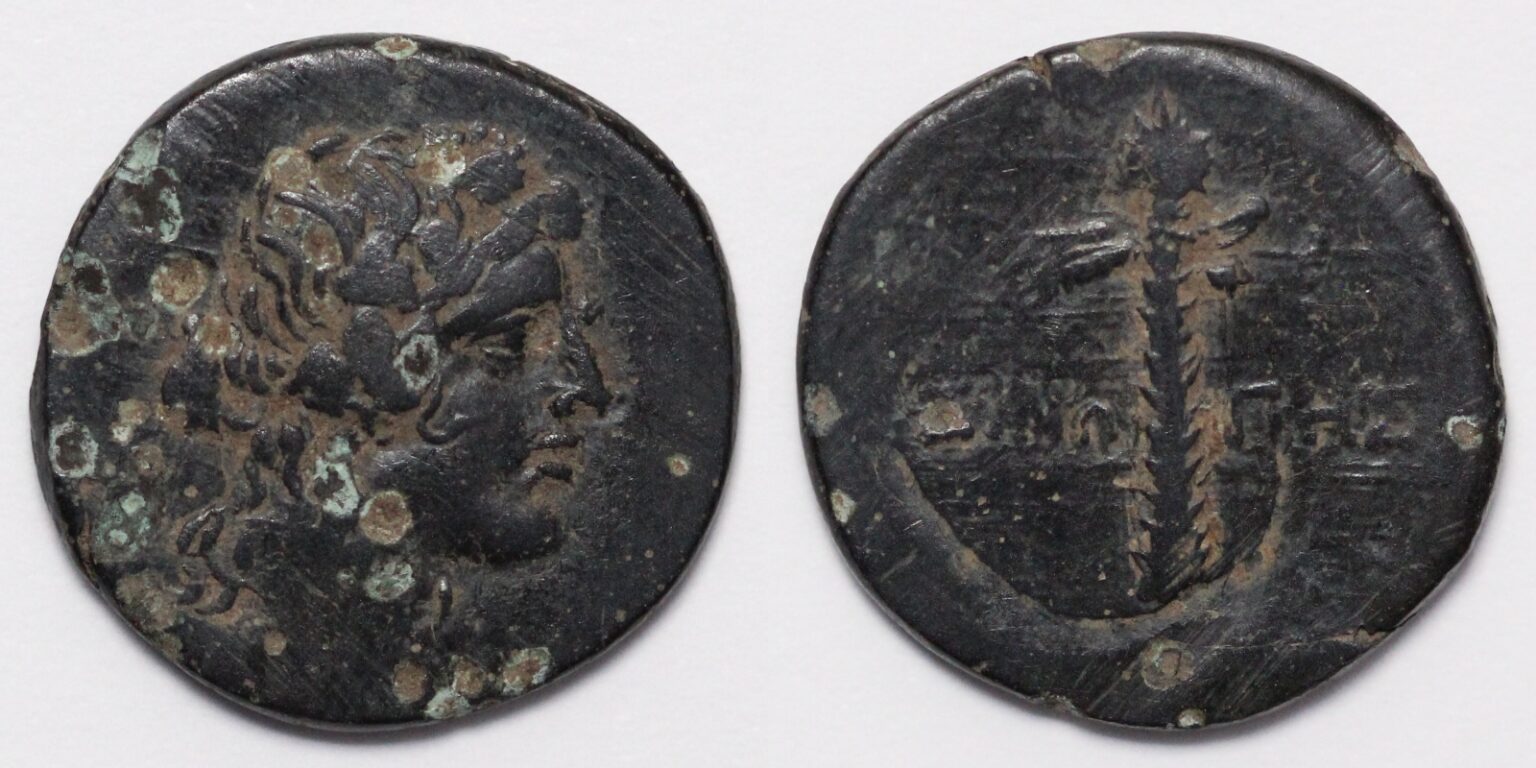 Ancient Greek Coin Paphlagonia Sinope 120-63 BC Æ Dionysos/Filleted ...