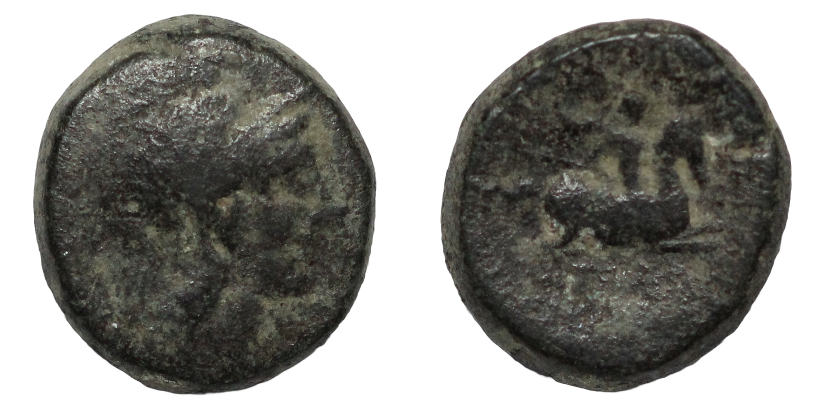 Ancient Greek Coin Ionia Kolophon 330-285 BC Æ Apollo/Horseman w/ Lyre ...