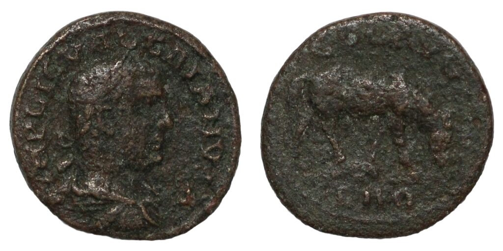 Ancient Roman Coins - Imperial Numismatics