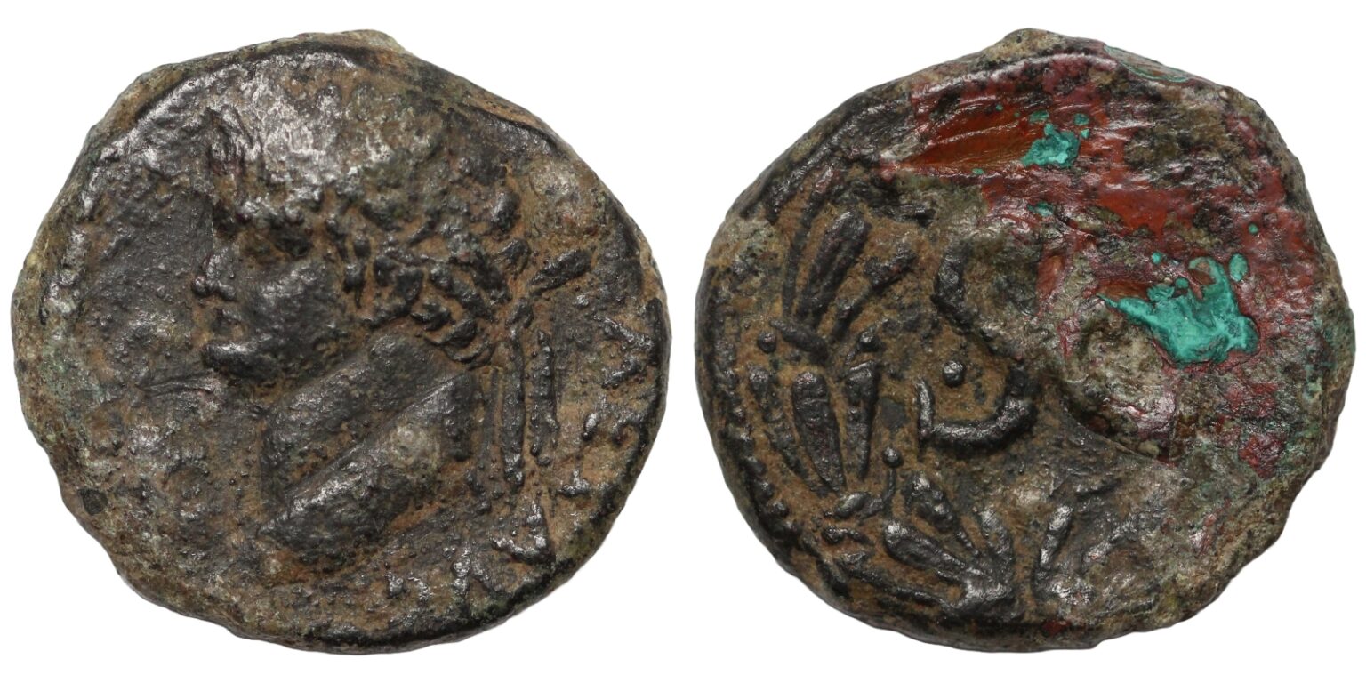 Ancient Roman Provincial Seleucis & Pieria Antioch Domitian Æ AD 79-81 ...