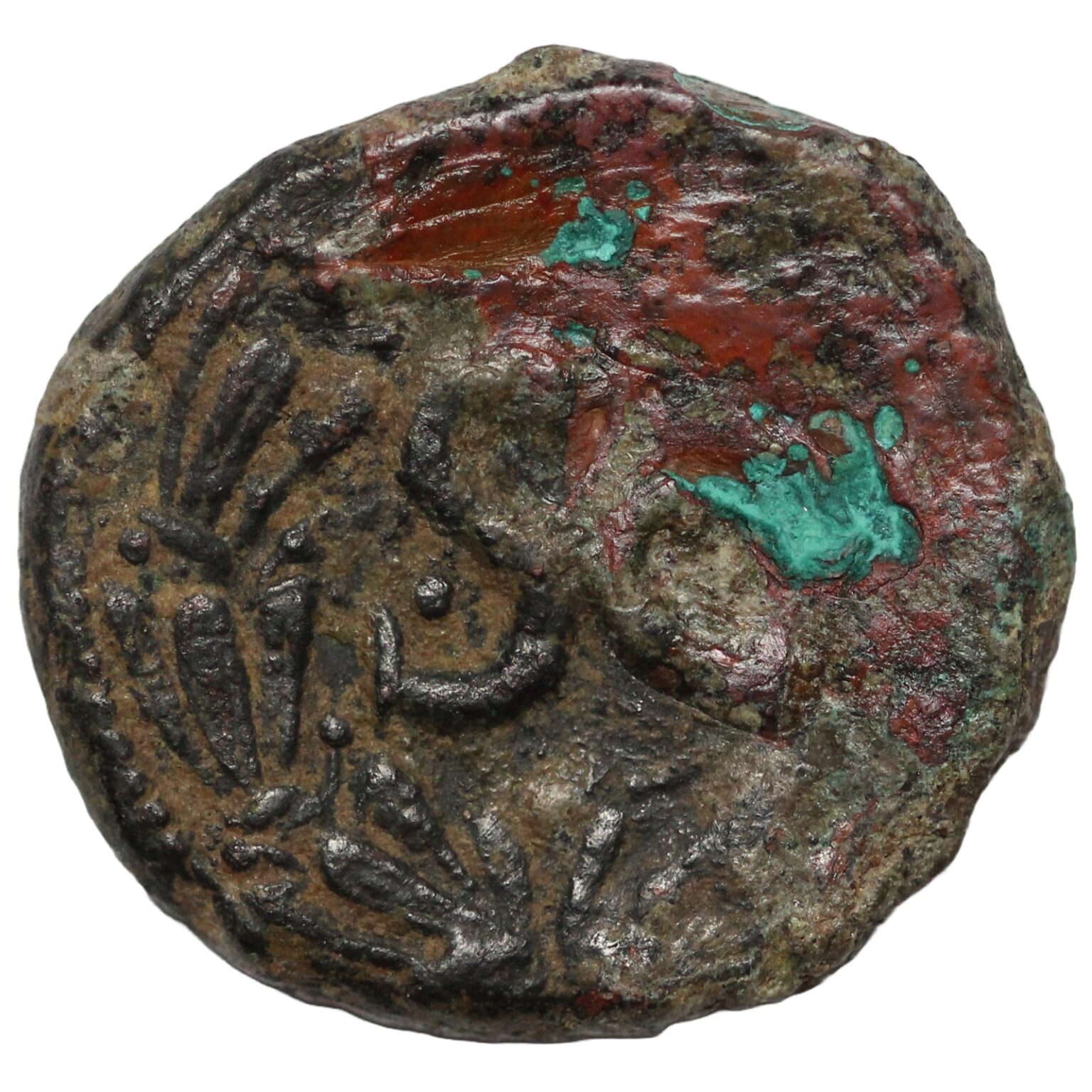 Ancient Roman Provincial Seleucis & Pieria Antioch Domitian Æ AD 79-81 ...